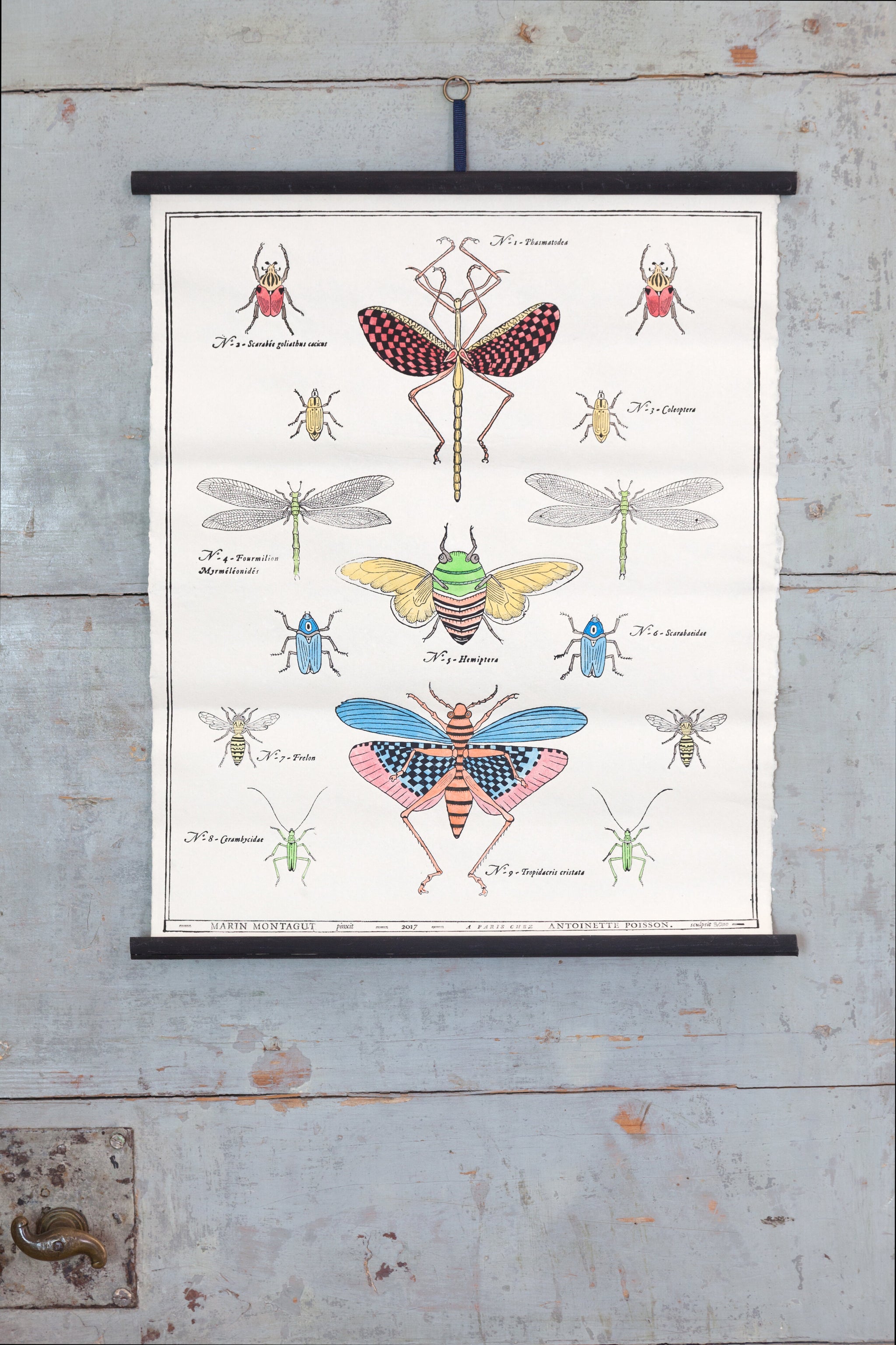 Wall board | THE INSECTS – Marin Montagut